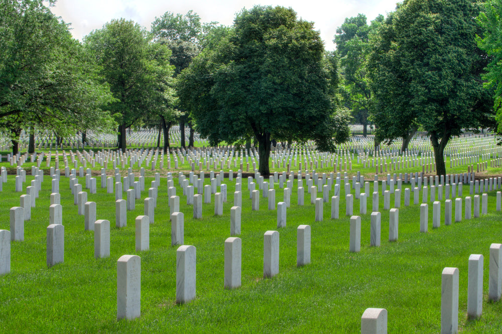 Honoring Our Heroes: A Guide to Fort Snelling Cemetery and its Flower ...